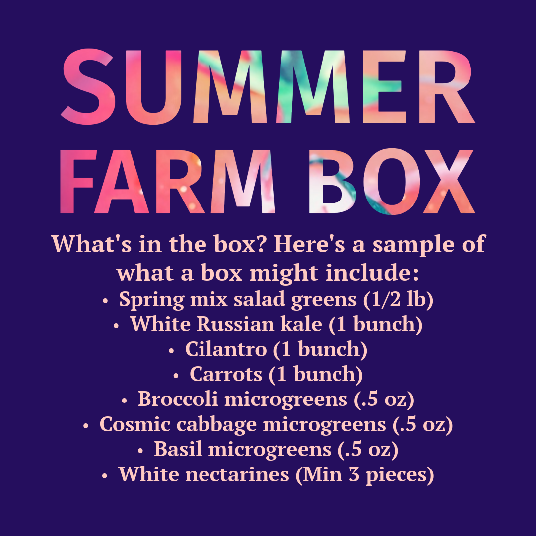 The Farm at Worman Mill